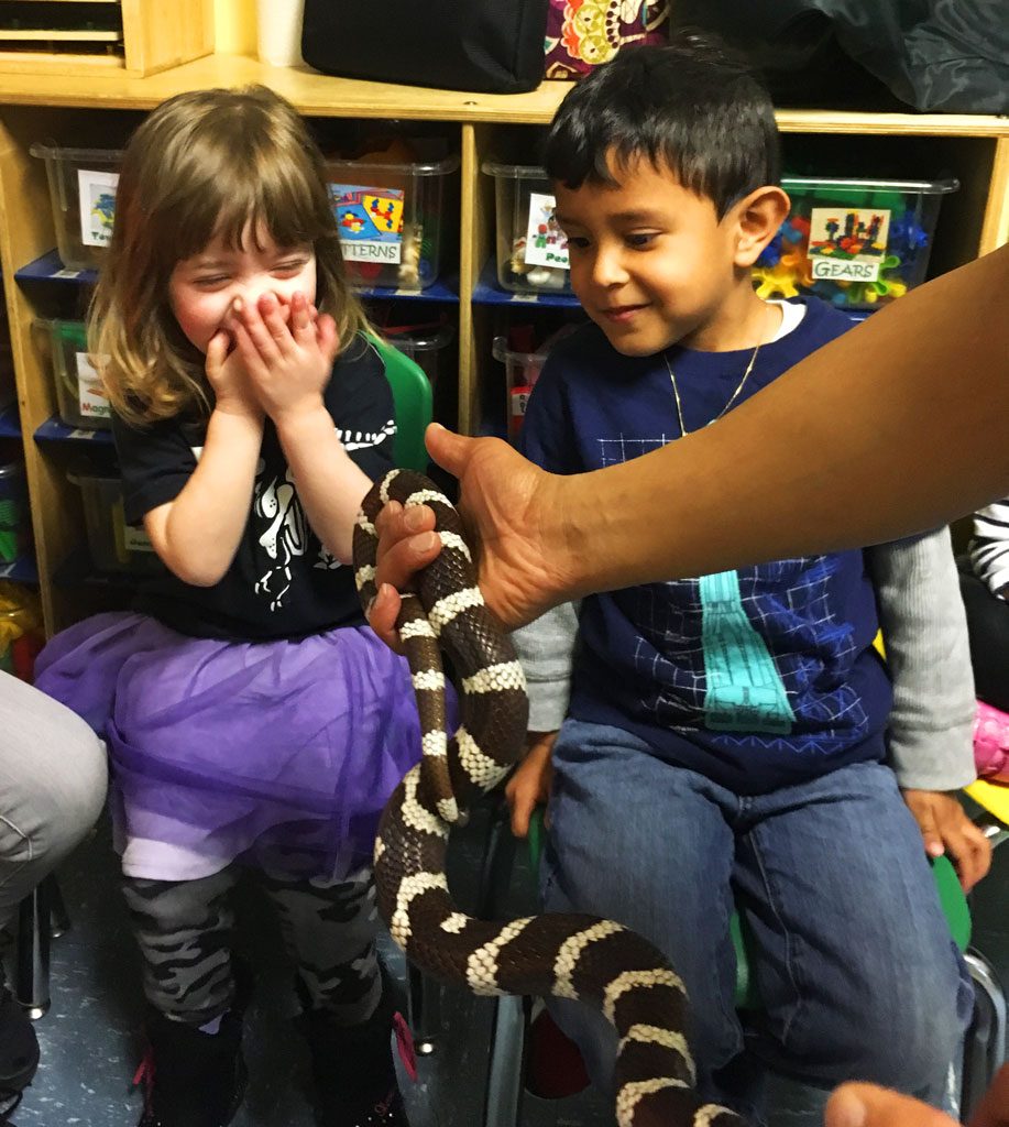 Preschool - Little Friends School - Elmhurst Daycare